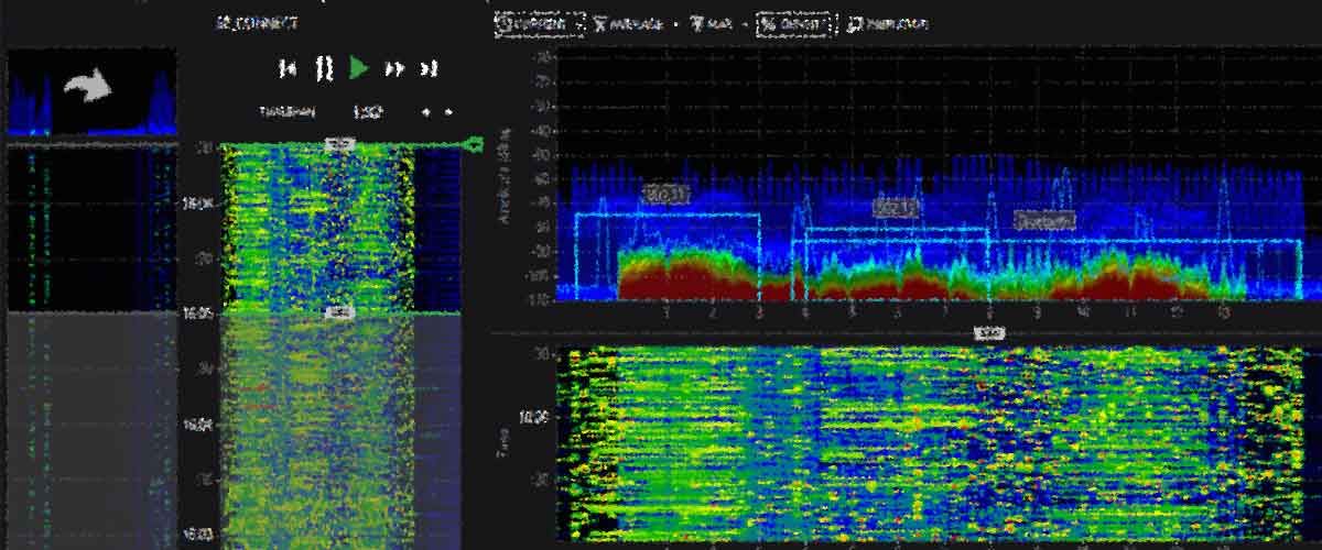 Cisco CleanAir - Сетевая Академия Cisco, Linux Professional Institute