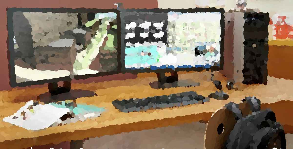 Fundamentals of the Virtualized Workspace - Cisco Networking Academy ...