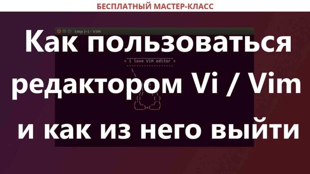 Как пользоваться редактором Vi / Vim и как из него выйти