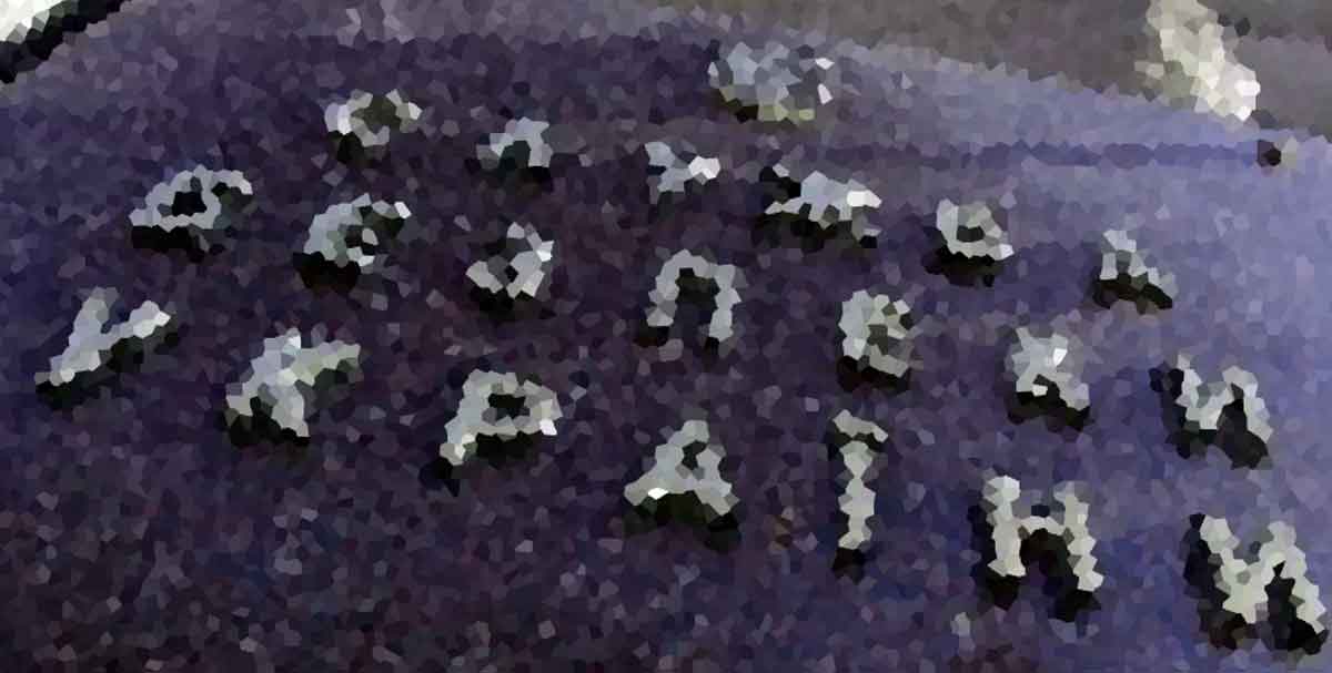 Vaarallinen hakkeri pidätettiin Ukrainassa, tietoturva Moskova - Cisco ...