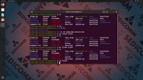 Основы Linux для программируемых сетей и систем — знакомство с ...