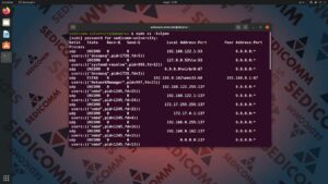 С чего начать знакомство с сетевыми технологиями, скачать курс DevOps / DevNet Баку - Сетевая ...