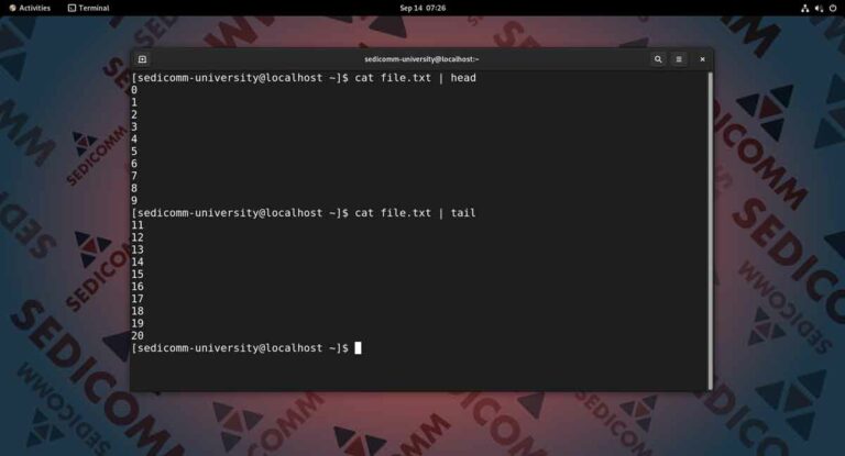 Конвейер команд в Линукс — часть 1, курсы Astra Linux Краков - Сетевая ...