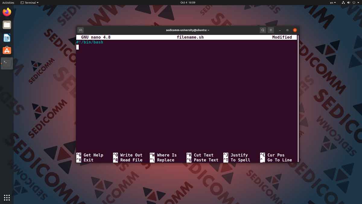 Linux-Grundlagen für programmierbare Netzwerke und Systeme – Shell-Skripte, DevOps/DevNet ...